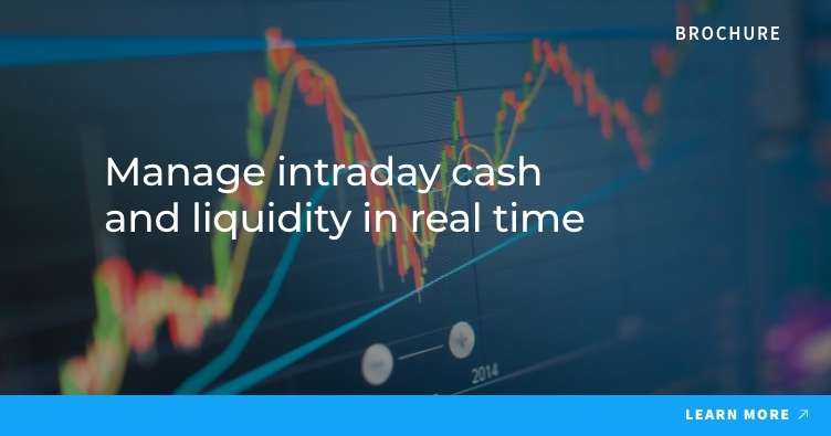 Realiti intraday liquidity management | Banking brochure | Infor